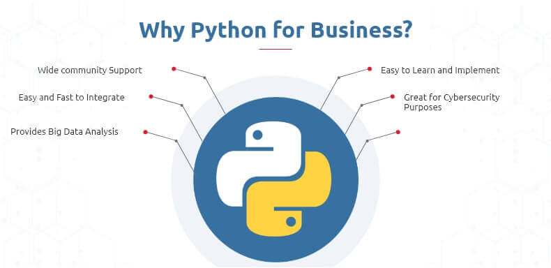 Boost Efficiency: Python Development Guide for Businesses